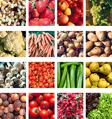 Trophée des Maraîchers